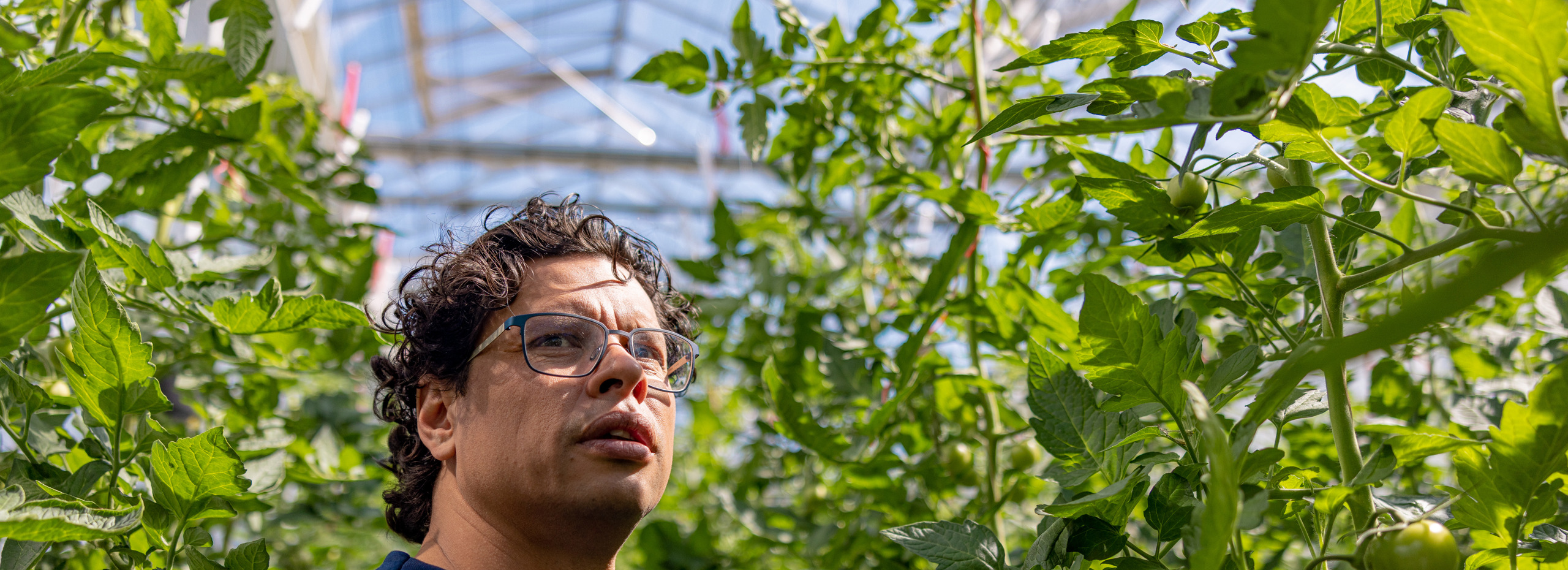 Blue Lab - KUBO Group