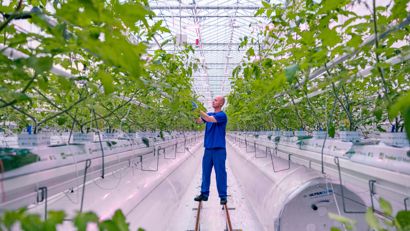 Blue Lab - KUBO Group